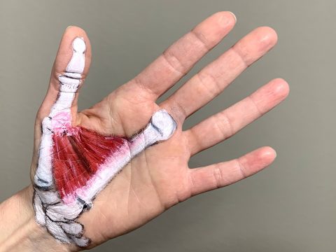 Top 3 Thumb Stretches for Thumb Arthritis Pain - Virtual Hand Care