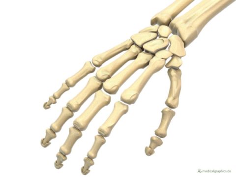Hand Pain Relief Kit: Your Go-To Guide on Hand Pain Causes, Relief, and ...